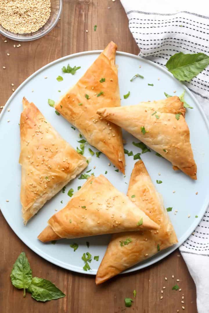 Uzbek Samosa Recipe - Valentina's Corner