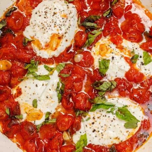 Easy Simple Appetizers - Valentina's Corner